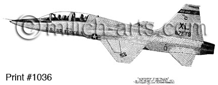 T-38 TALON – Laughlin AFB (#1036) – Aviation Art of Joe Milich