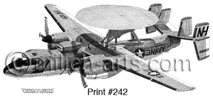 E-2C HAWKEYE VAW 117 (#242) – Aviation Art of Joe Milich